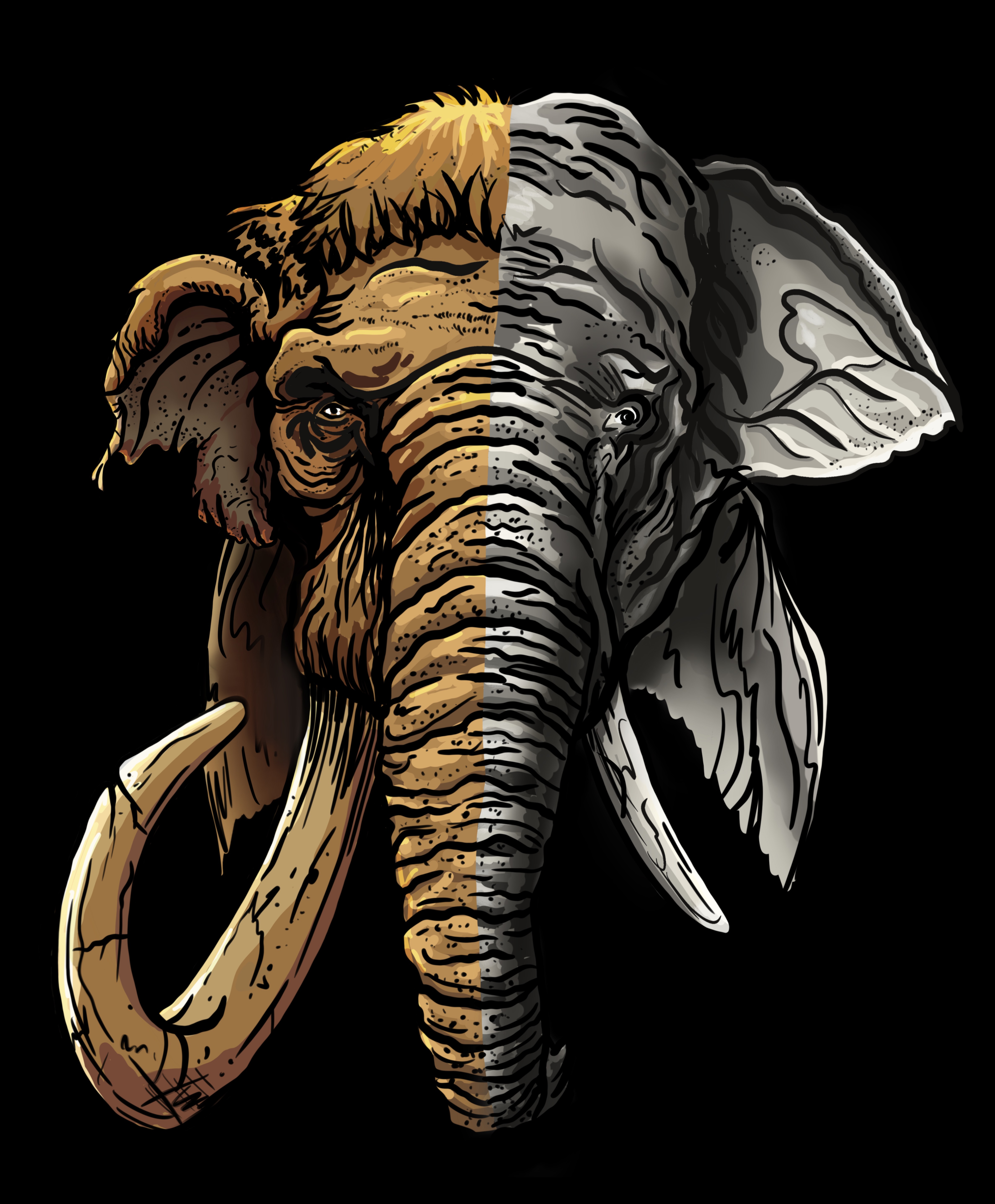 Aiden Lab - The Center for Genome Architecture - Baylor College of Medicine