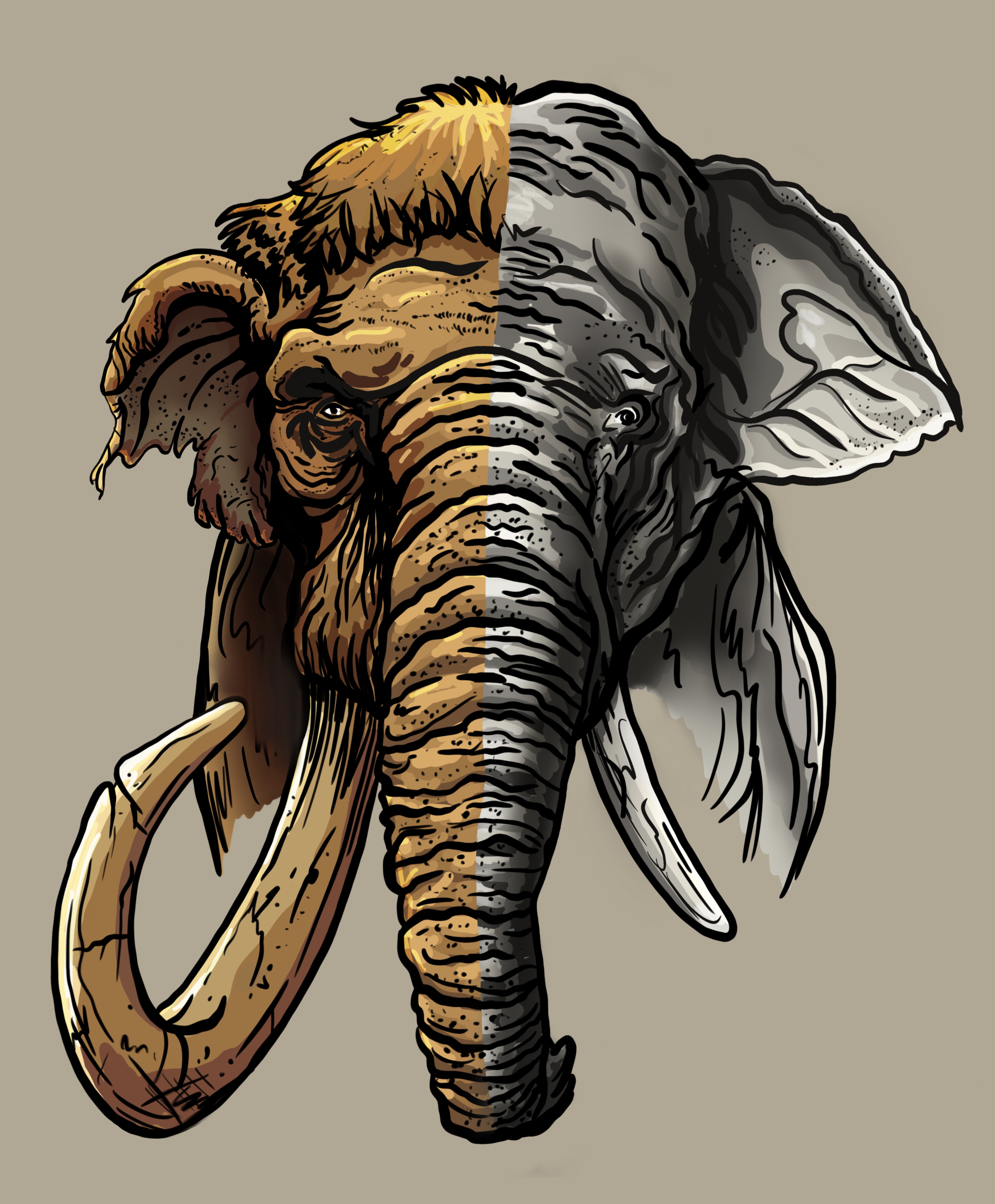 Aiden Lab - The Center for Genome Architecture - Baylor College of Medicine